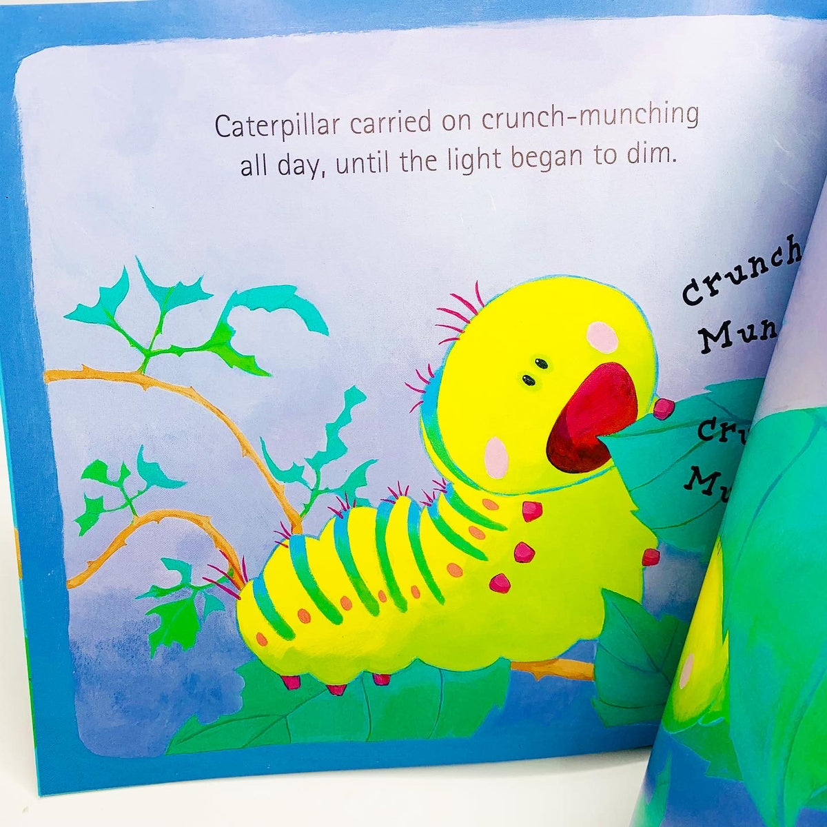The Crunching Munching Caterpillar: Picture Book & CD – Red Balloon Books
