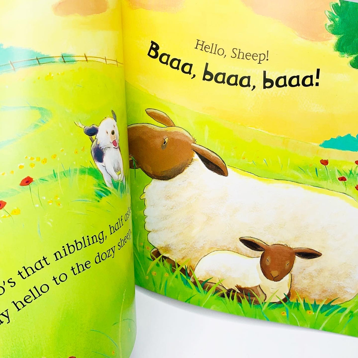 Say Hello to the Animals – Red Balloon Books