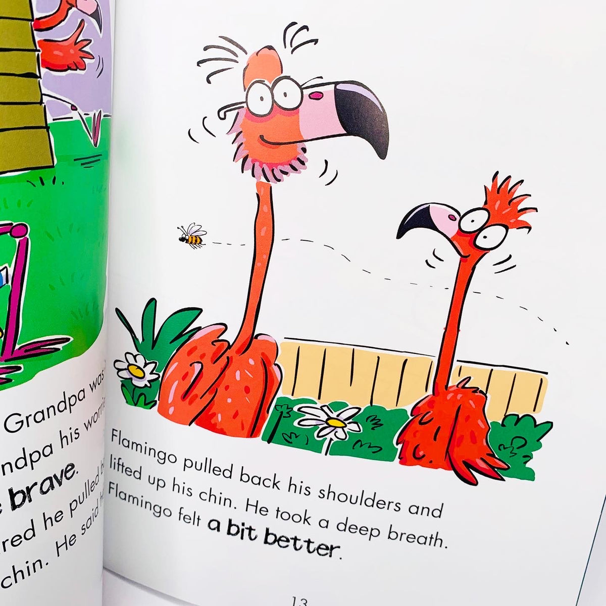 Behaviour Matters: Flamingo is Brave: A book about feeling scared – Red ...