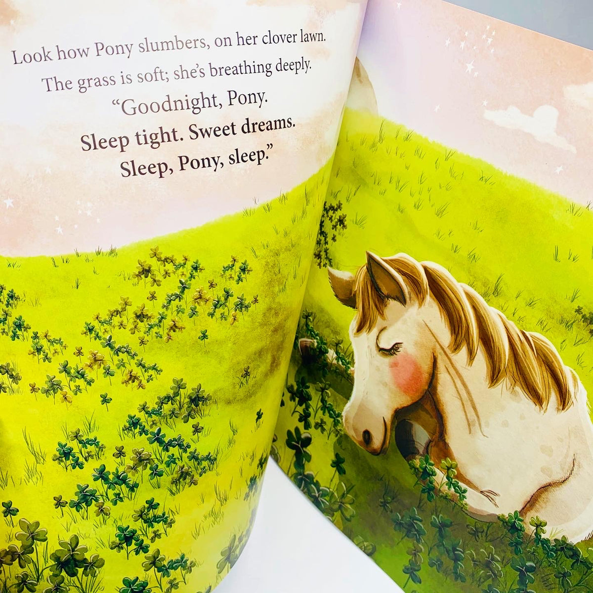 Read Me to Sleep – Red Balloon Books