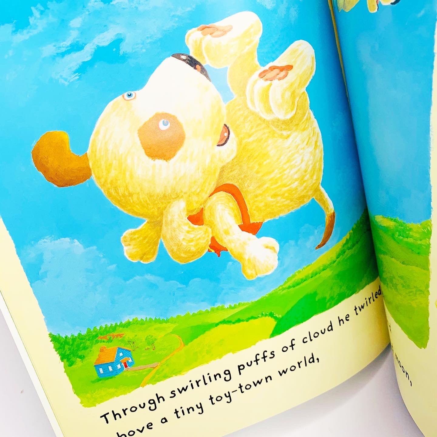 Some Dogs Do: Book & DVD – Red Balloon Books