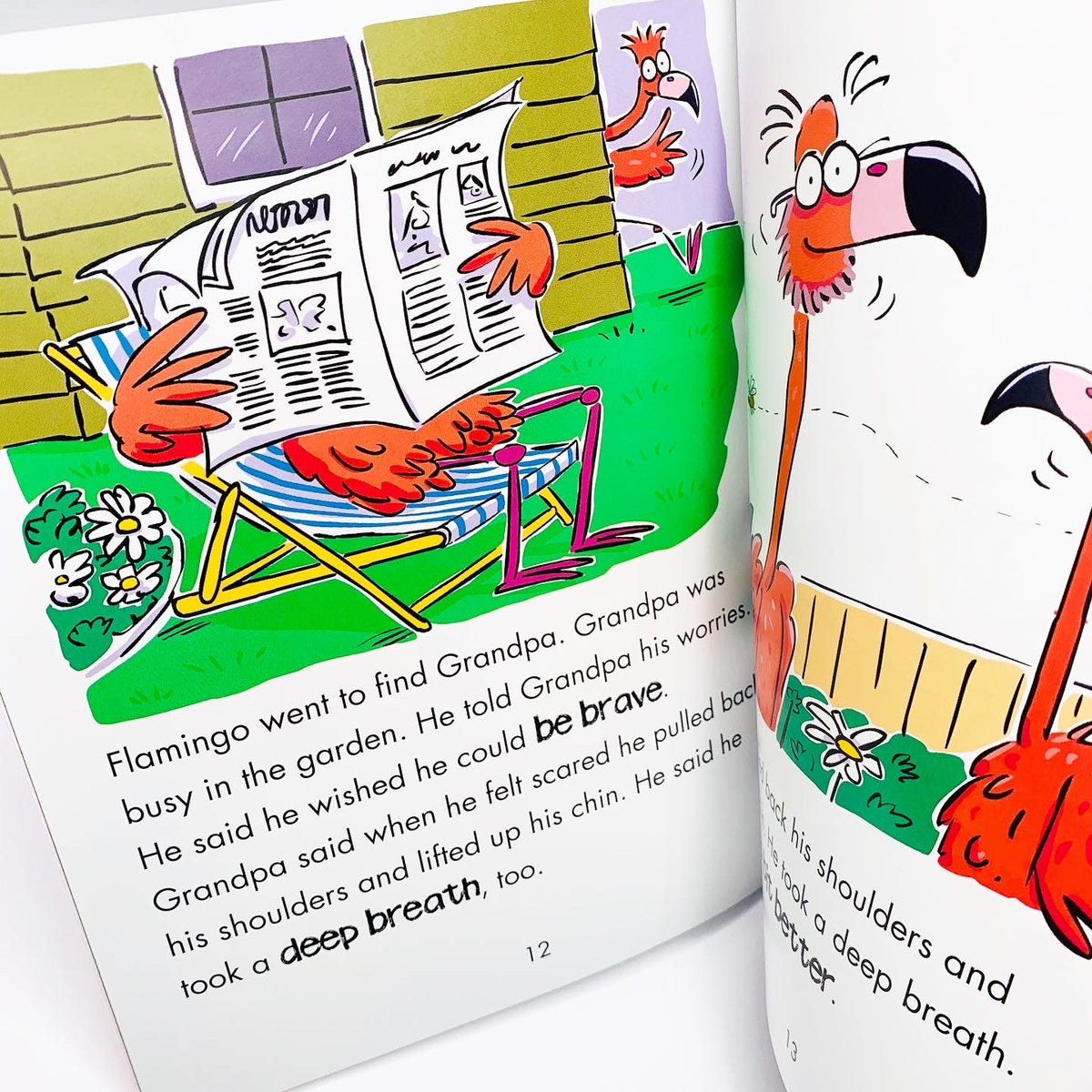 Behaviour Matters: Flamingo is Brave: A book about feeling scared – Red ...